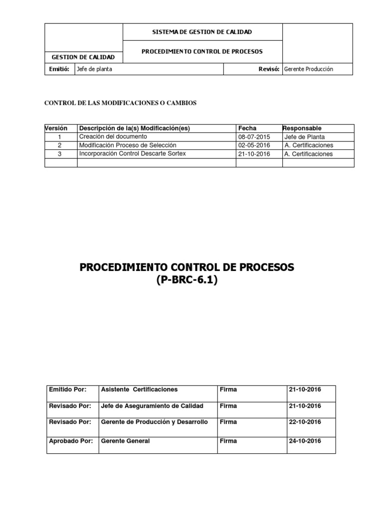 Procedimiento de CONTROL DE PROCESOS | PDF | Sistema de manejo de ...
