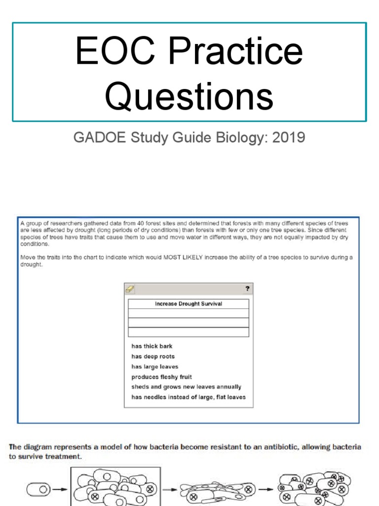 Biology EOC Study Guide | PDF