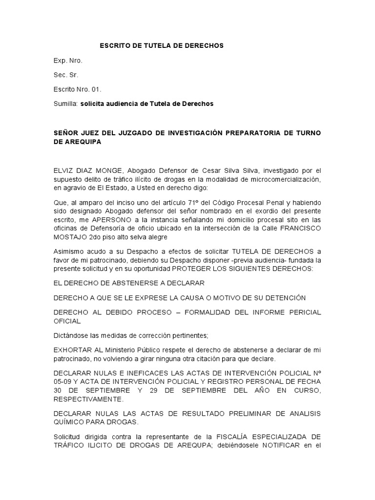 Solicitud Tutela de Derechos | PDF | Debido al proceso | Policía