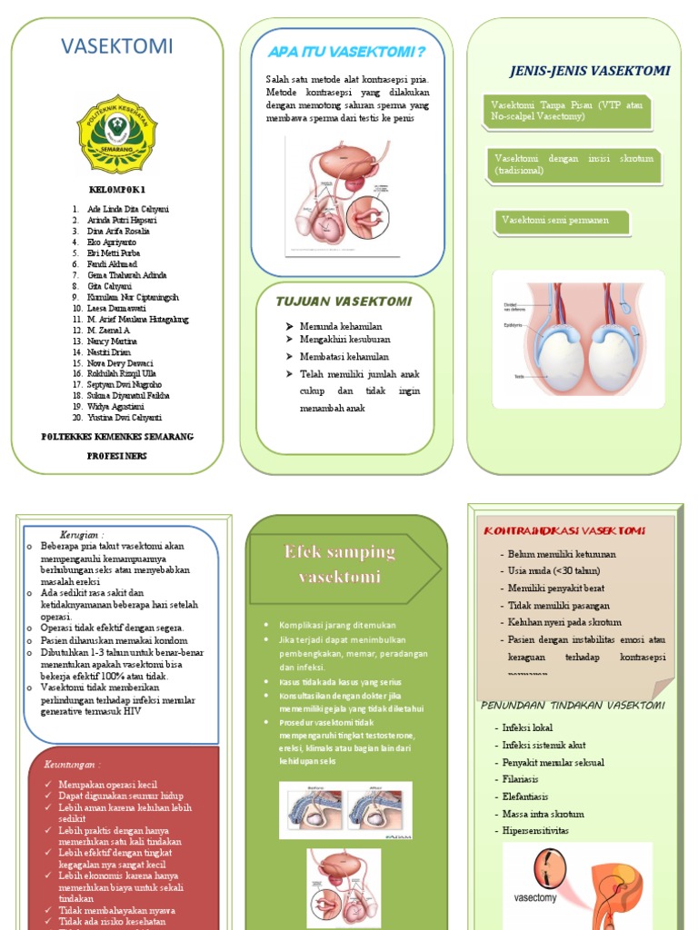 Leaflet Vasektomi-Maternitas | PDF