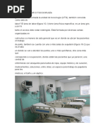 Clasificacion de Spaulding | PDF | Esterilización (Microbiología ...