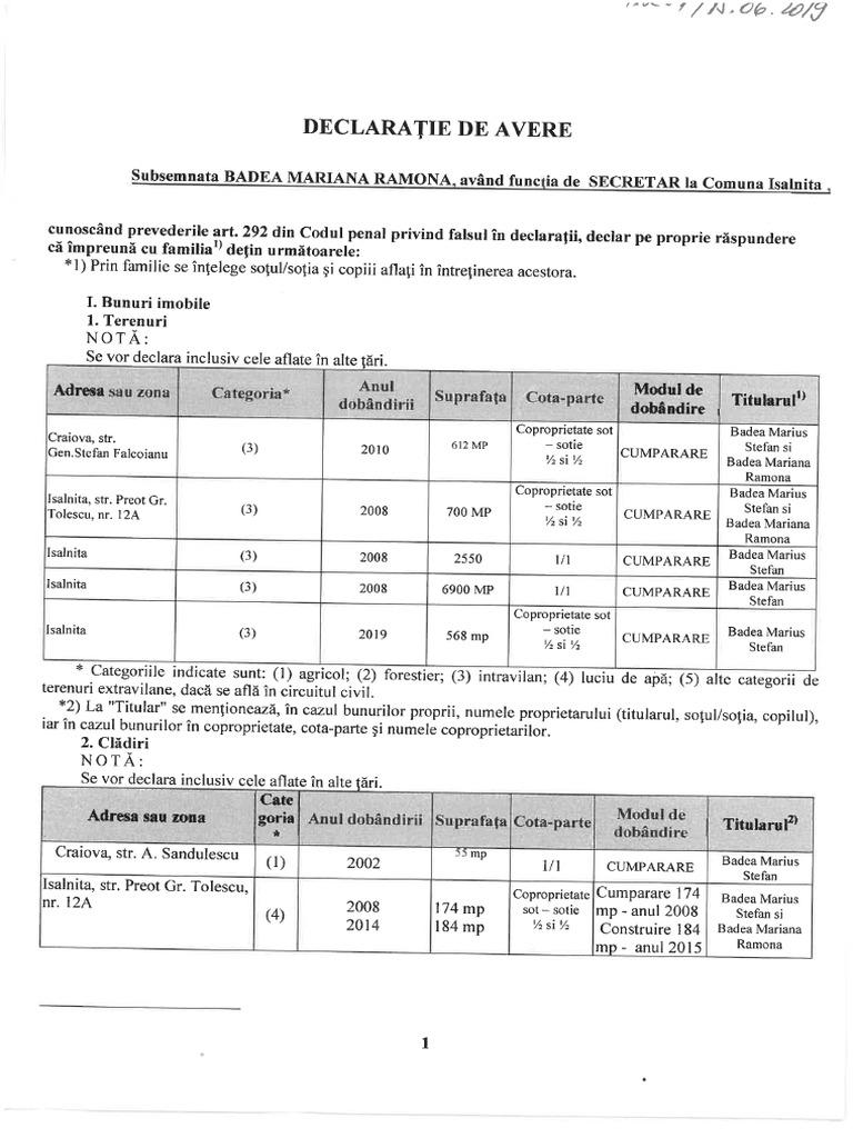 Declaratie de Avere 2019 - Badea Mariana Ramona | PDF