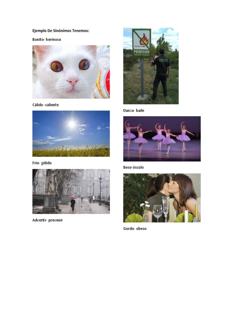 10 Sinonimos y 10 Antonimos | PDF
