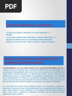 El Regidor y Sus Funciones | PDF | Alcalde | Gobierno local