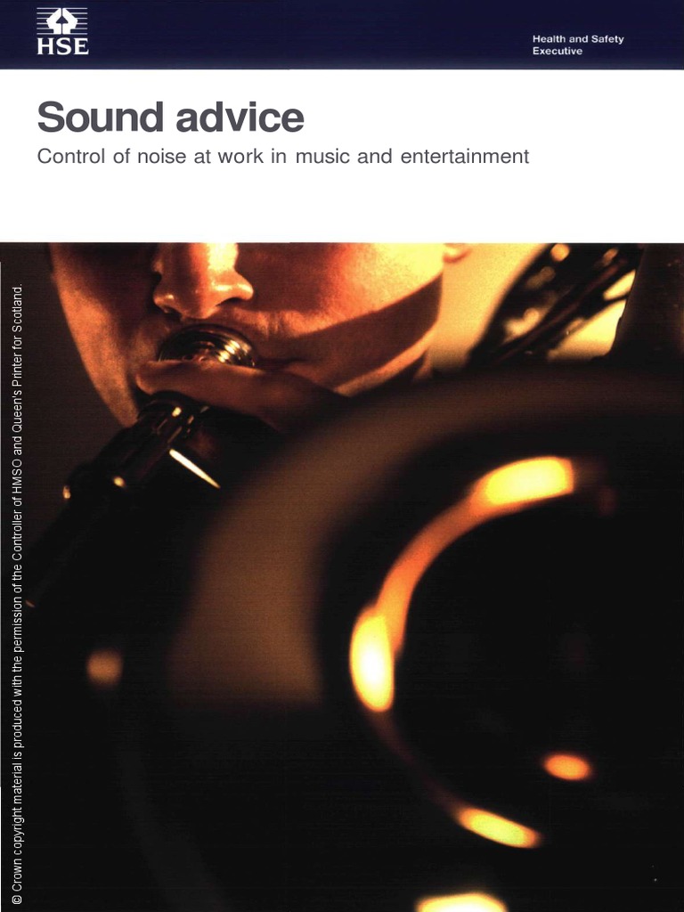 Sound Advice | PDF | Noise | Hearing Loss