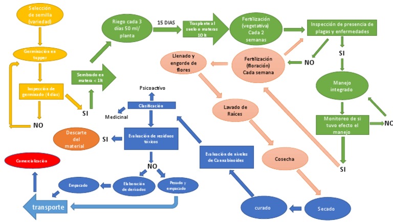 Flujograma Cultivo de Cannabis | PDF | Organismos | Botánica