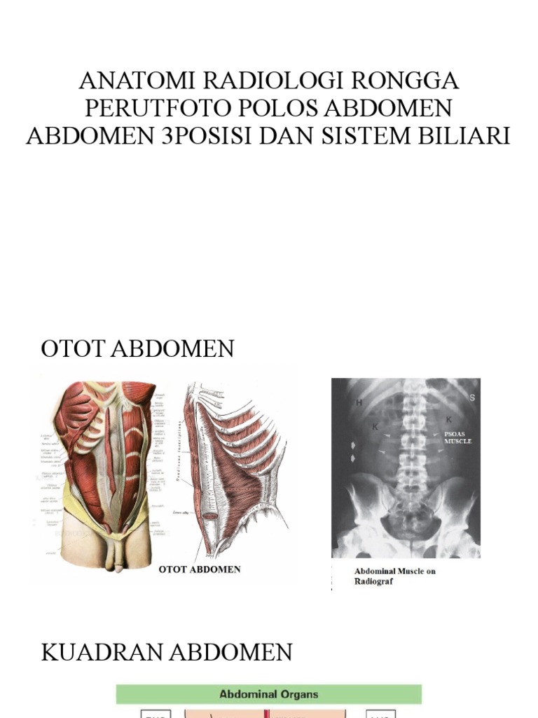 ANATOMI RADIOLOGI RONGGA PERUT, Dan SISTEM BILIARI | PDF
