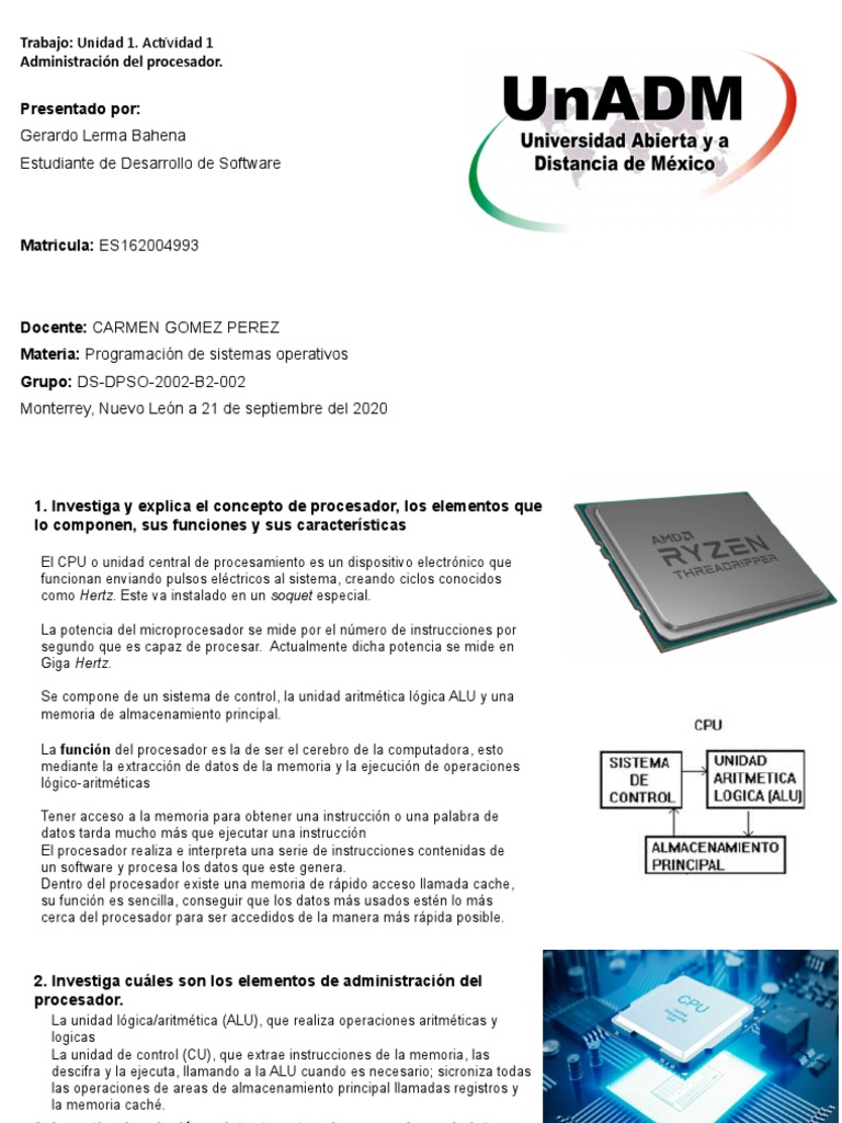 Dpso U1 A1 Gelb | PDF | Unidad Central de procesamiento | Sistema operativo