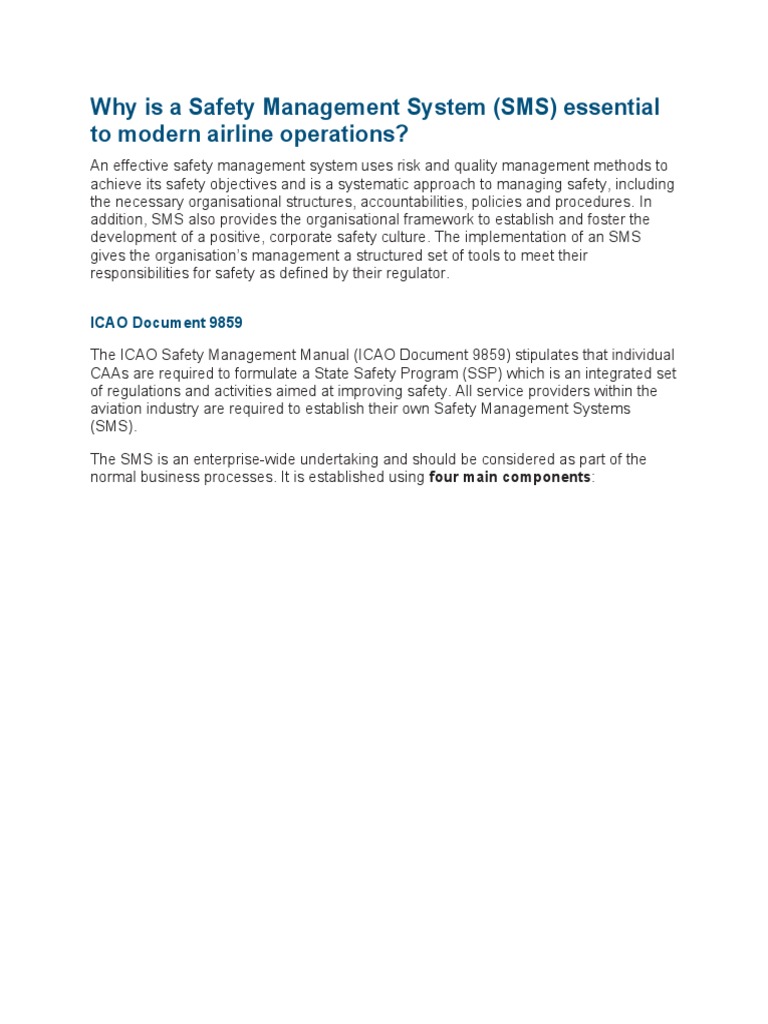 Importance of Safety Management Systems | PDF | Business