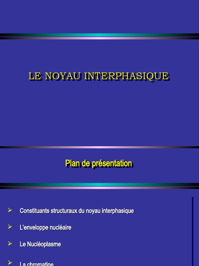 Noyau Interphasique | PDF | Noyau (biologie) | Chromatine
