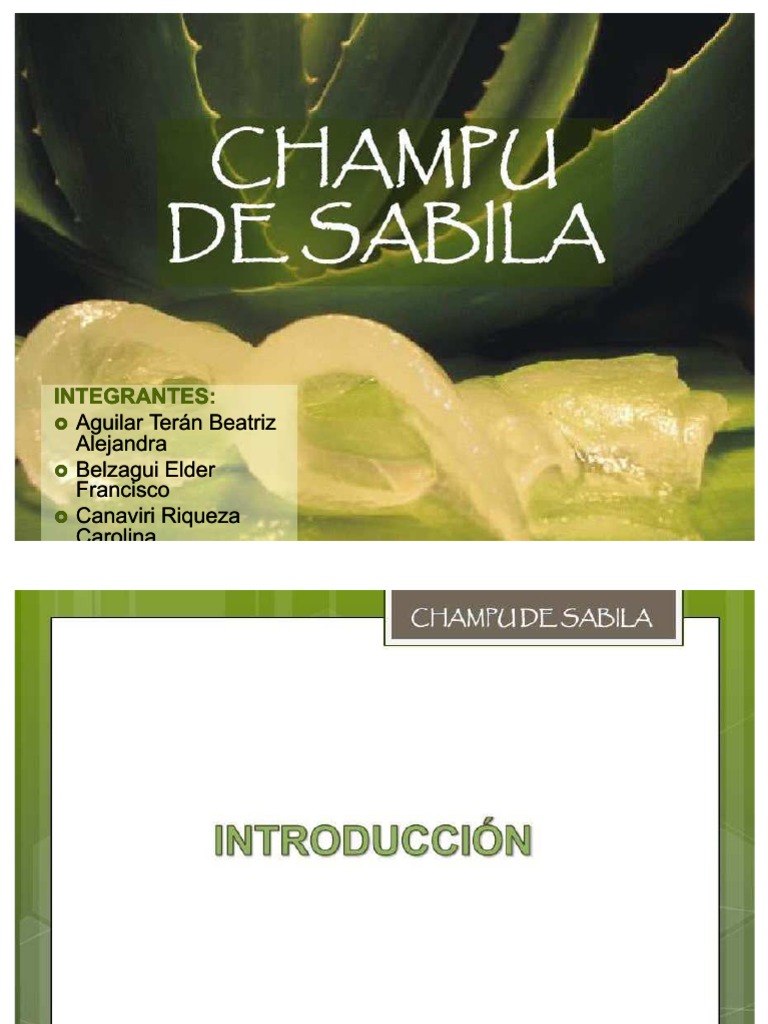 Champu Sabila | PDF | Champú | Reología