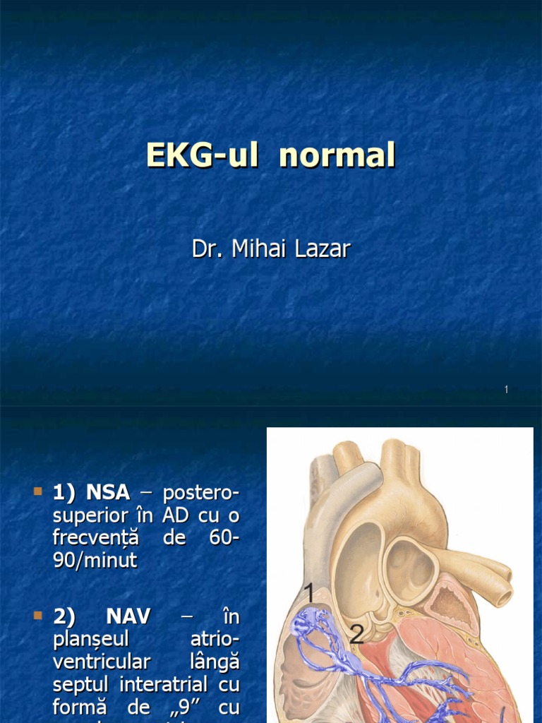 LP 1 - EKG Normal | PDF