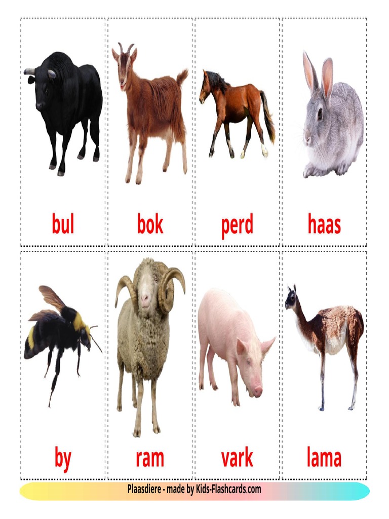 Plaasdiere 8 A4 PDF | PDF