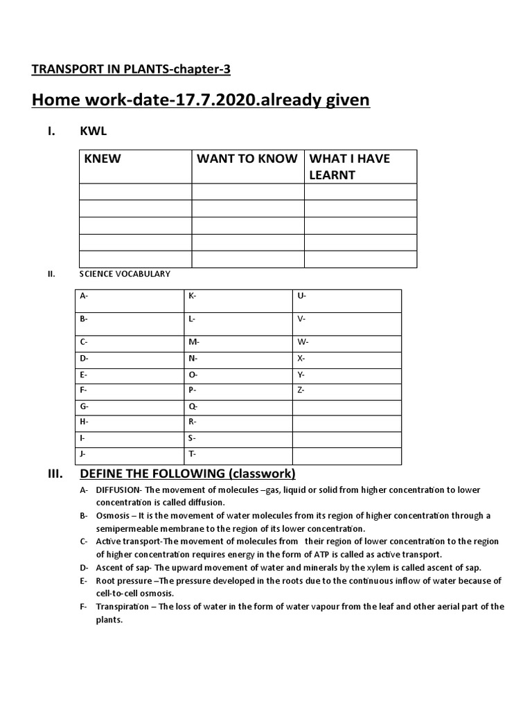 Plant Transport System Overview for Grade 8 | PDF | Stoma | Soil