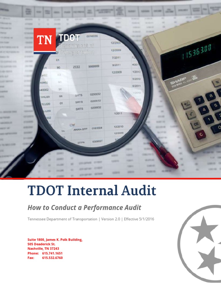 Performance Audit Process Guide | PDF | Internal Audit | Audit