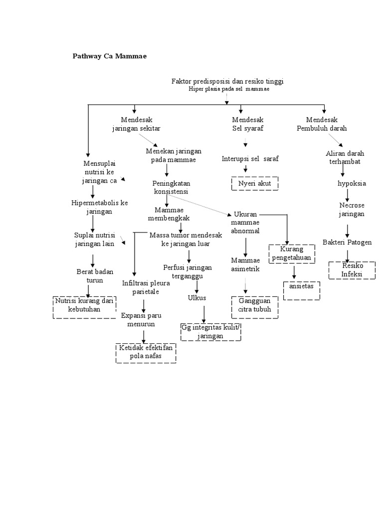 Pathway CA Mammae IBS | PDF