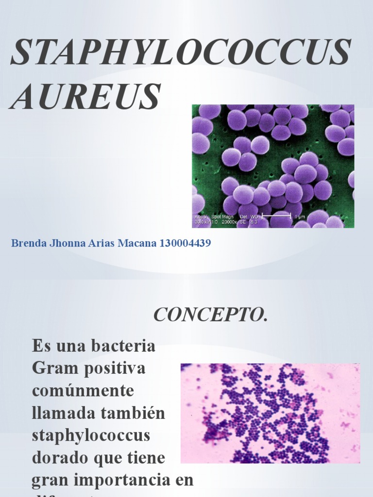 STAPHYLOCOCCUS AUREUS Presentacion | PDF | Staphylococcus Aureus | Microbiología
