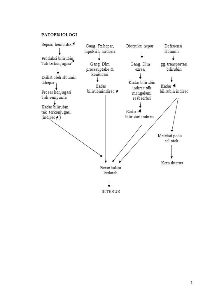 WOC Ikterus Neonatorum | PDF