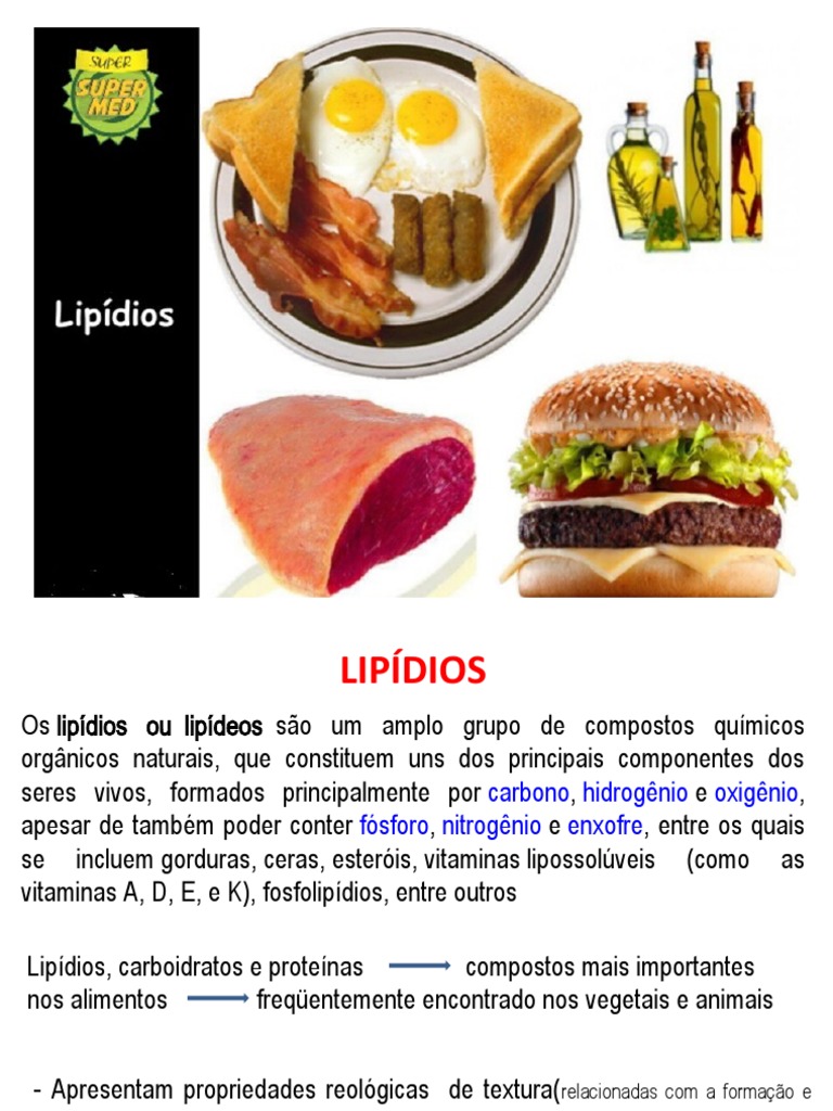 aula 8. lipídios.ppt | PDF | Lipídio | Gordura