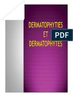 Guide Clinique de l'Intertrigo | PDF | Candida | Dermatite