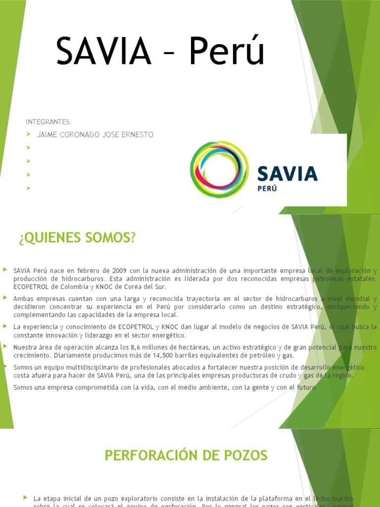 SAVIA - Perú | PDF | Petróleo | Perú