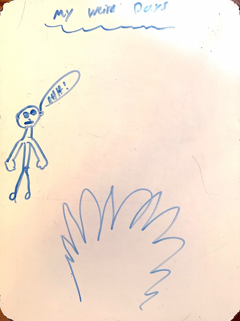 Mrs. Myer Is On Fire | PDF