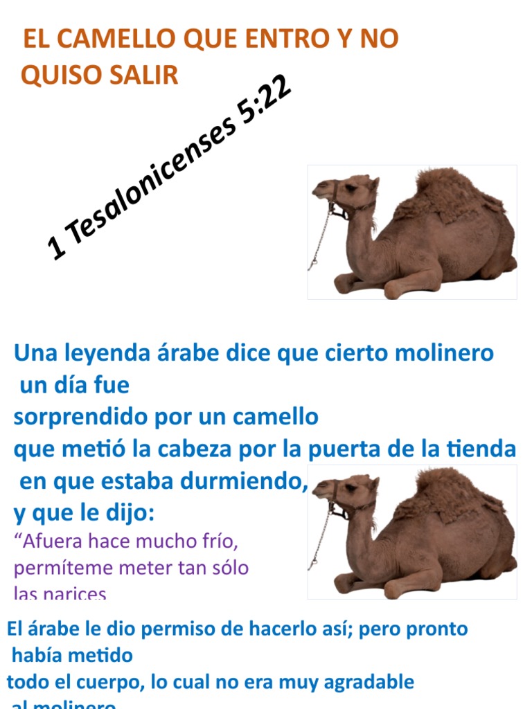 El camello y los pecados del corazón | PDF
