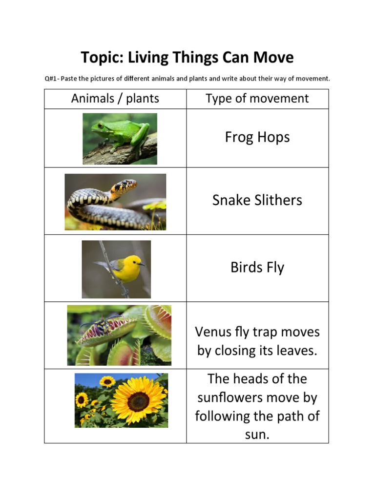 Living Things - Ways of Movement | PDF