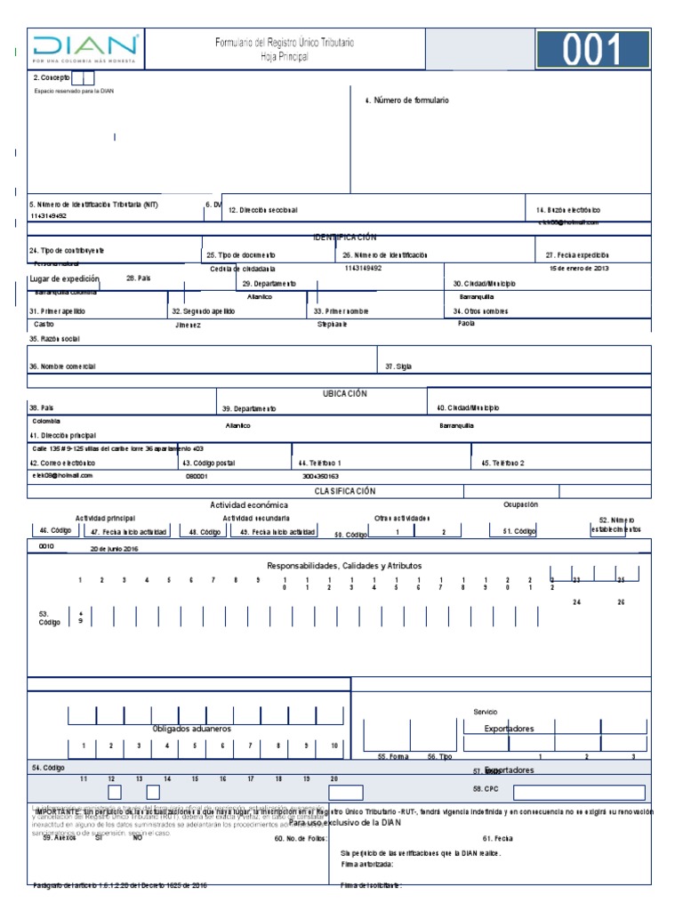 Formato 001 Rut Editable | PDF