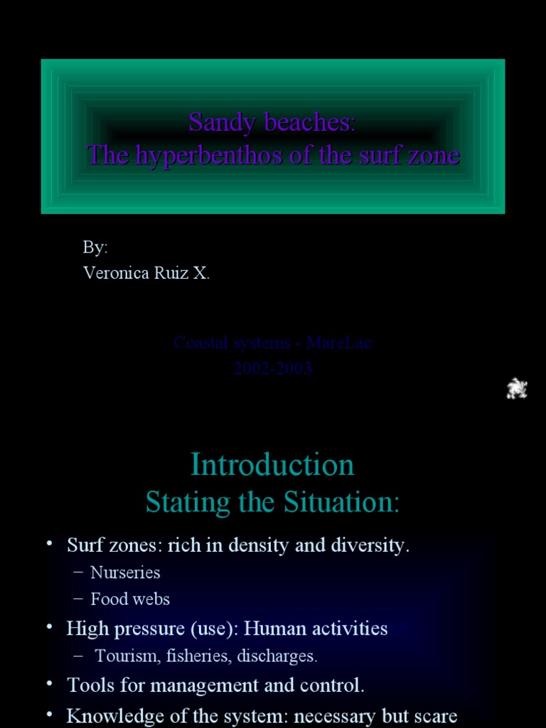 Sandy Beaches: The Hyperbenthos of The Surf Zone | PDF | Littoral Zone ...
