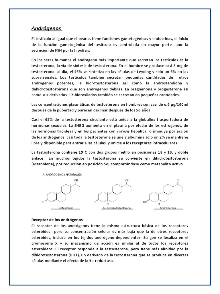 Andrógenos | PDF | Testosterona | Andrógino