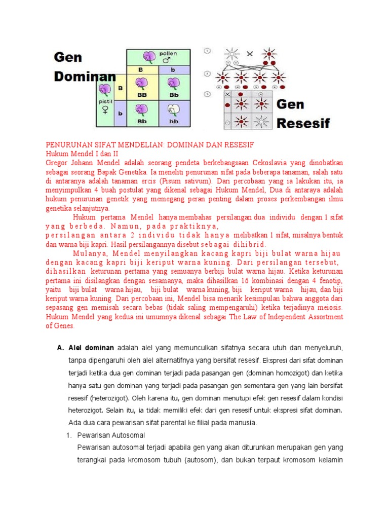 Gen Dominan dan Resesif dalam Biologi | PDF