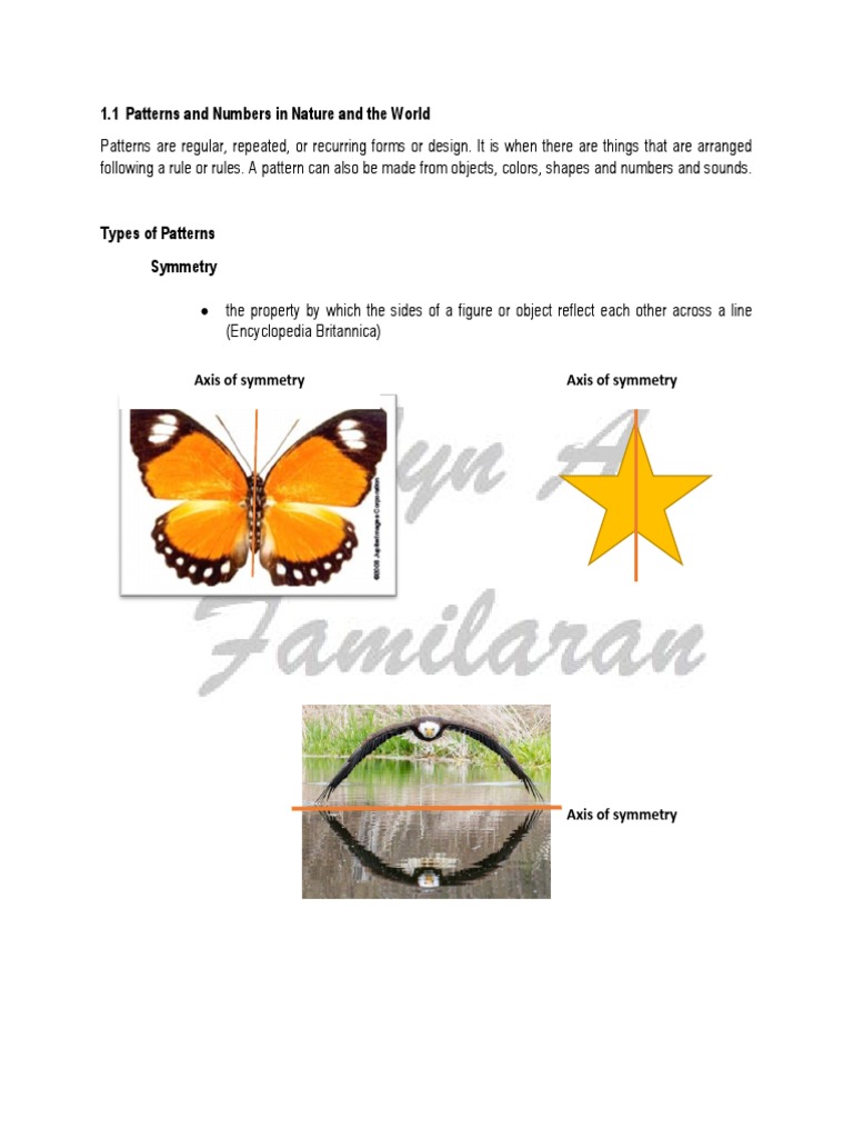 Patterns and Numbers in Nature and The World PDF | PDF | Pattern | Fractal