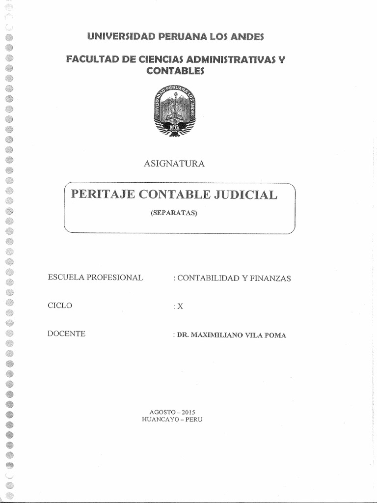 Peritaje Contable PDF | PDF