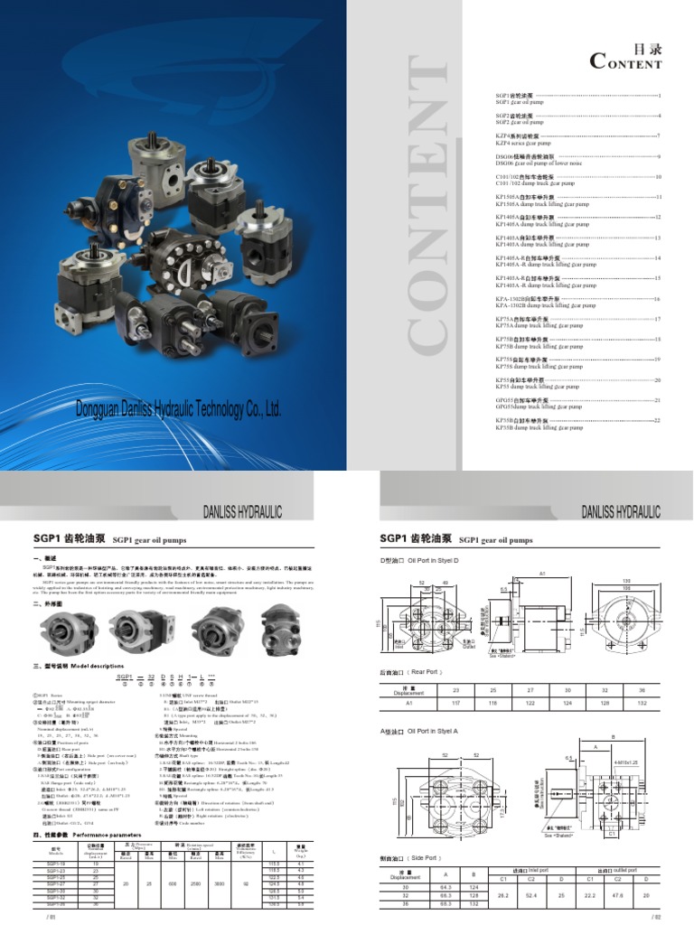 Danliss Gear Pump PDF | PDF | Pump | Truck