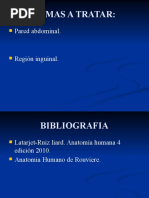 Anatomía de la Región Inguinocrural | PDF | Abdomen | Anatomía