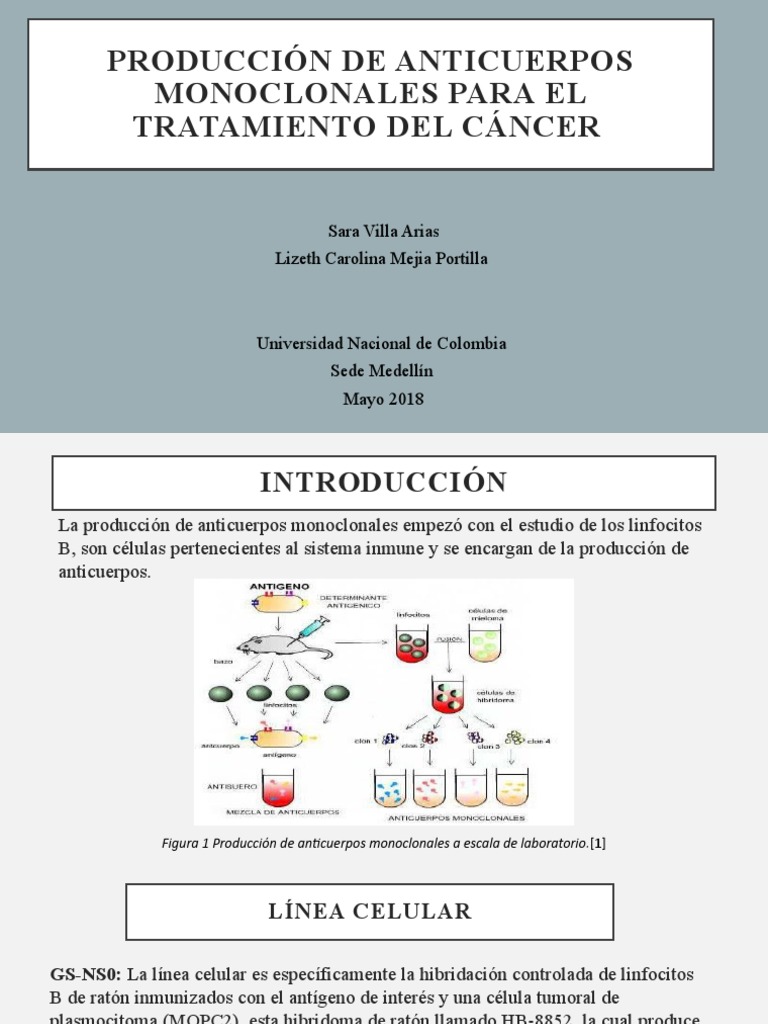Producción de Anticuerpos Monoclonales | PDF | Anticuerpo Monoclonal | Anatomía