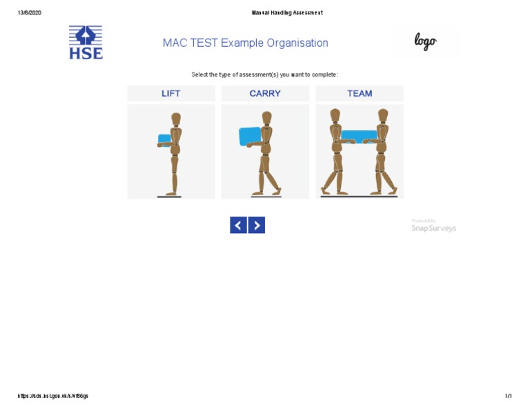 Manual Handling Assessment. - 4 | PDF
