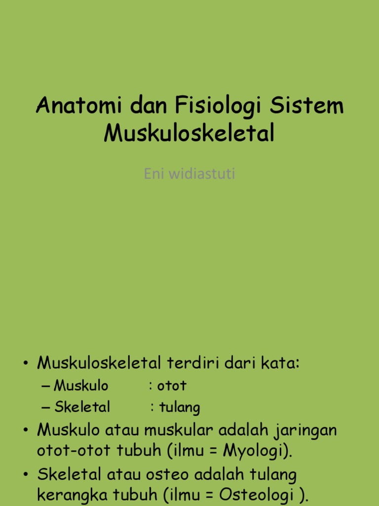 Anatomi Dan Fisiologi Sistem Muskuloskeletal-4 | PDF
