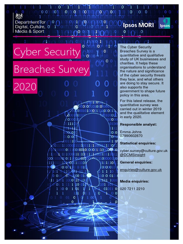 Cyber Security Breaches Survey 2020 1593319769 PDF | PDF | Computer ...