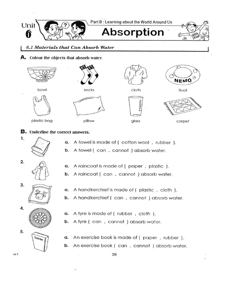 Materials That Absorb Water WORKSHEET AUG 2 | PDF