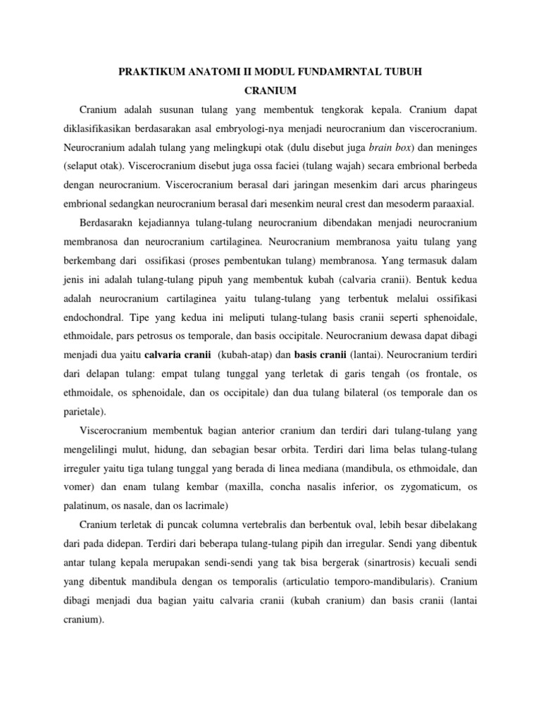 Praktium Anatomi Cranium (II) | PDF
