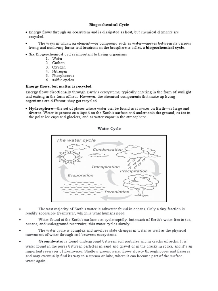 Biogeochemical Cycle | PDF | Carbon Dioxide | Eutrophication