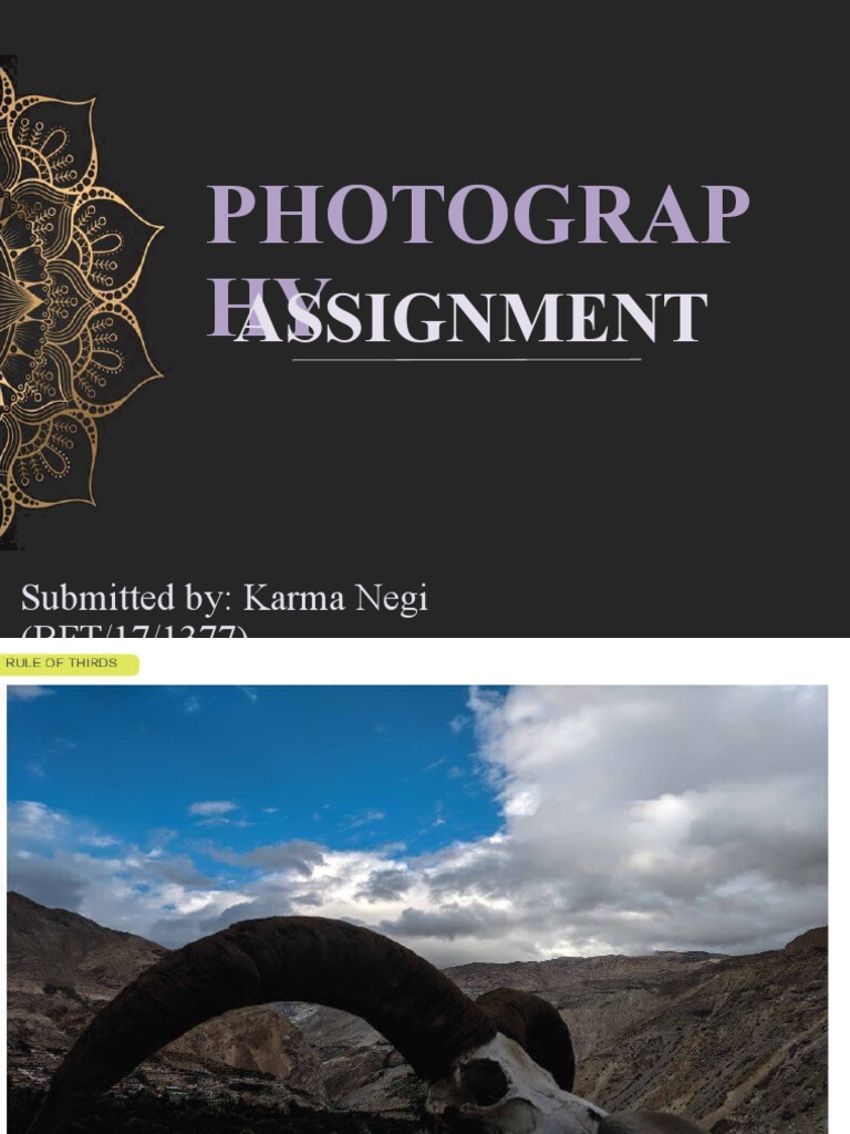 Photograp HY: Assignment | PDF | Art