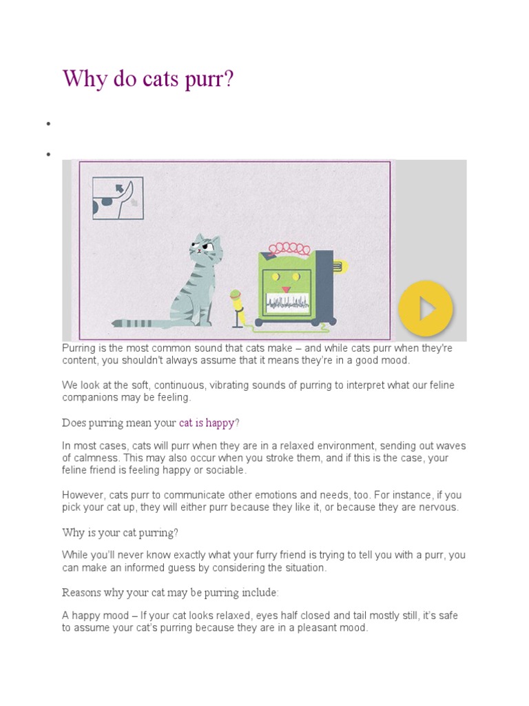Why Do Cats Purr?: Does Purring Mean Your ? | PDF