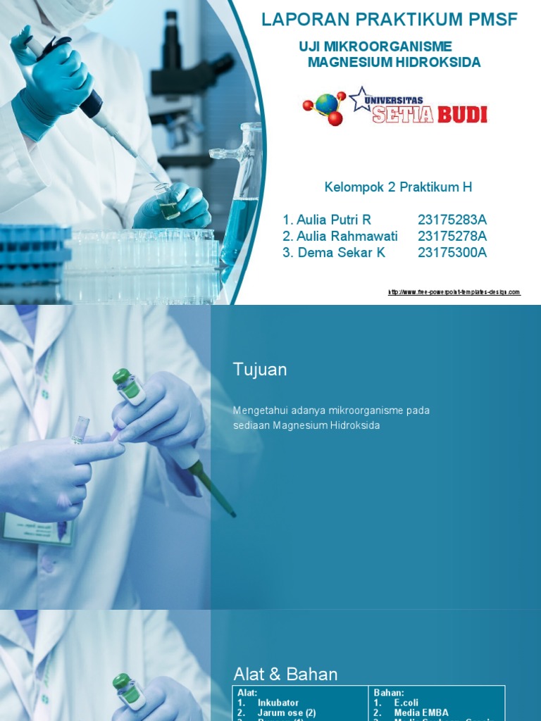 Laporan PMSF Mikrob Kel 2 | PDF