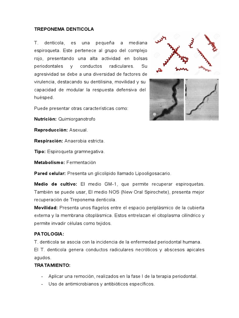 TREPONEMA DENTICOLA y STREPTOCOCCUS SANGUIS | PDF | Microbiología ...