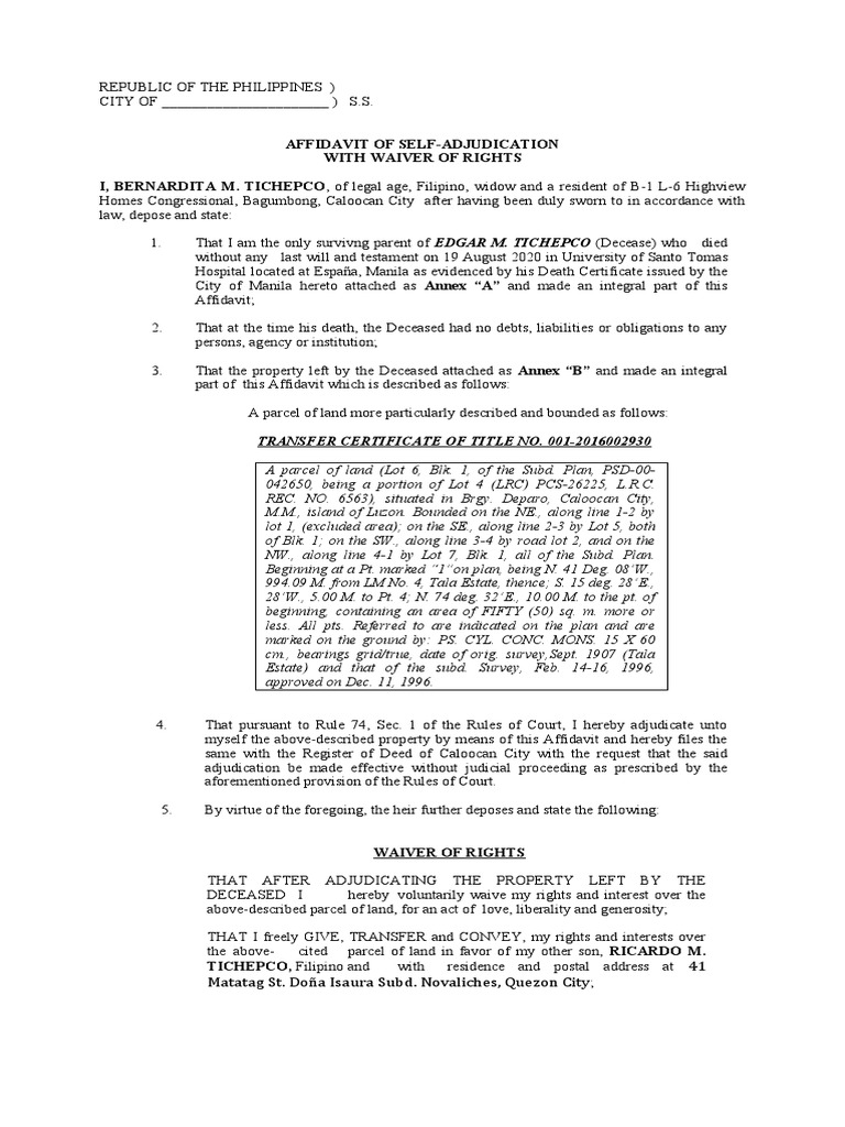 Affidavit of Self Adjudication - Tichepco | PDF | Government ...
