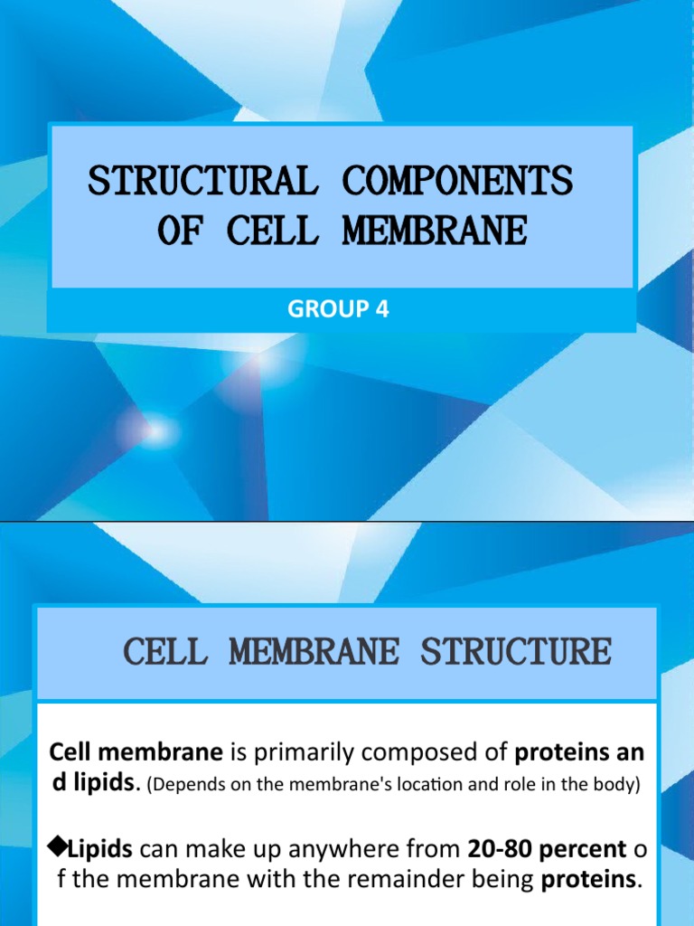 Structural Components of Cell Membrane: Group 4 | PDF | Cell Membrane ...