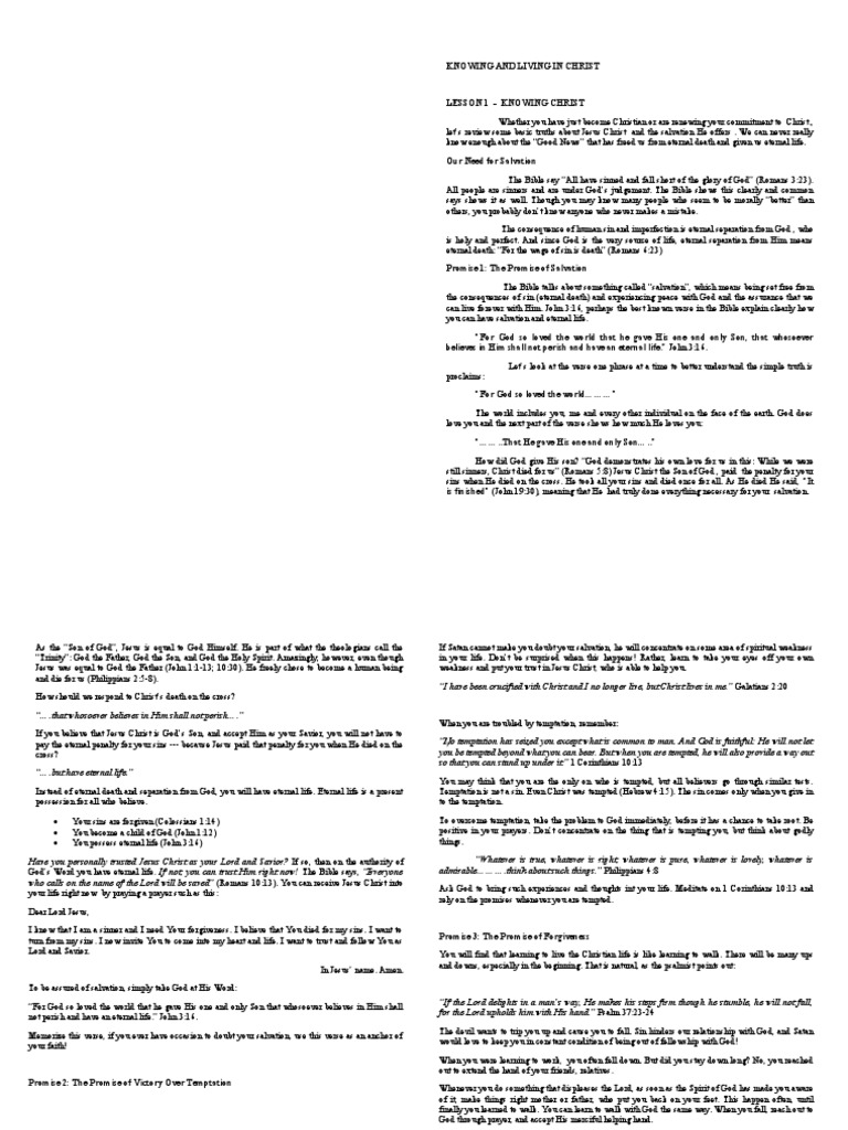 Christian Brochure | PDF | Eternal Life (Christianity) | Jesus